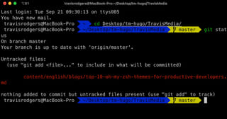 Top 12 Oh My Zsh Themes For Productive Developers